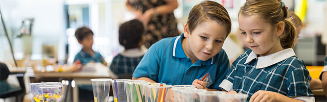 Teach Queensland's future